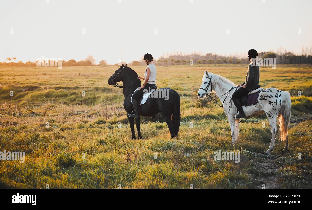 Horse riding, friends and women in countryside at sunset with outdoor ...