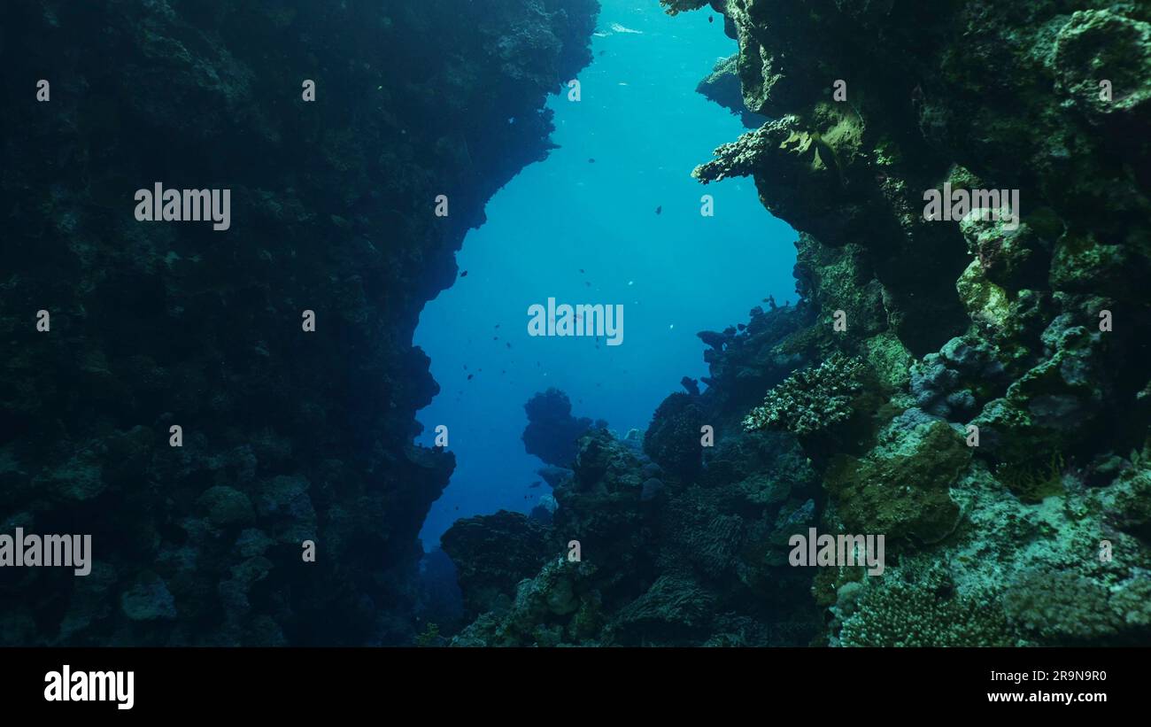 Coral caves on sunny day in bright sunlight, Backlighting (Contre-jour ...
