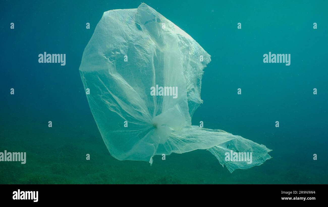 Old plastic bag drifting in water column over seagrass meadow. Plastic ...