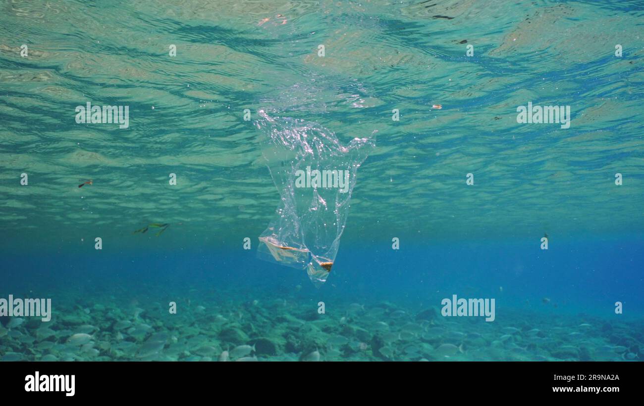 Plastic bag floating underwater. Transparent plastic bag drifts under ...
