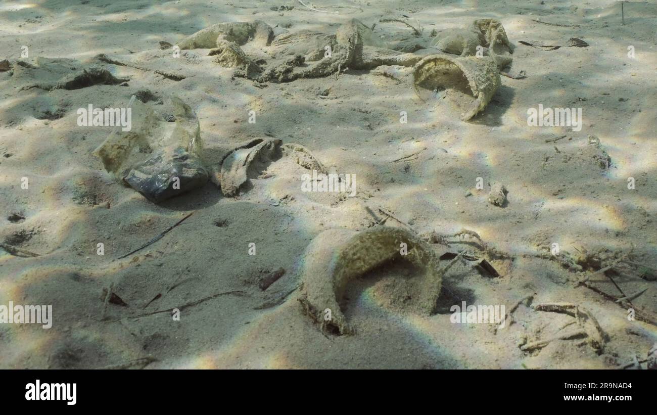 Plastic garbage lies on sandy-silty bottom of sea in shallow water on ...