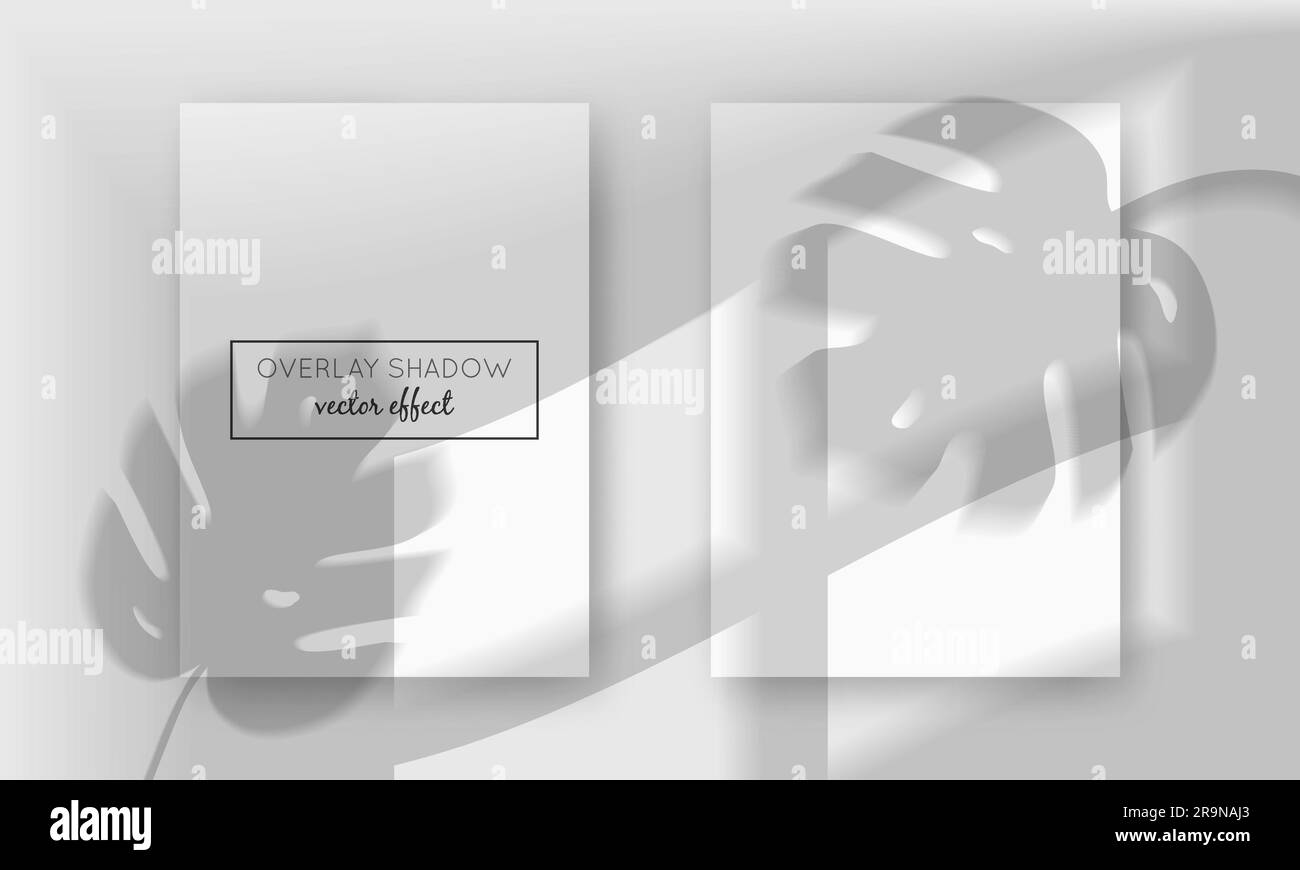 Vector two A4 cards mockup with shadow overlays on top. Organic and ...