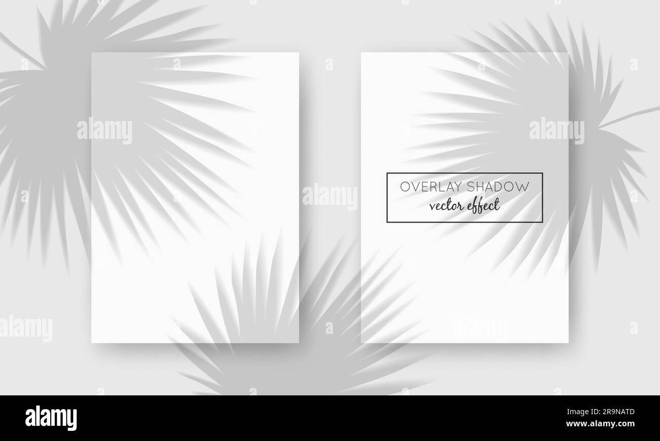 Vector two A4 cards mockup with shadow overlays on top. Organic shadows ...