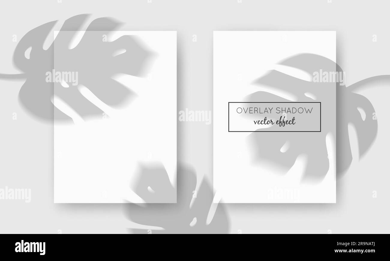 Vector two A4 cards mockup with shadow overlays on top. Organic shadows ...