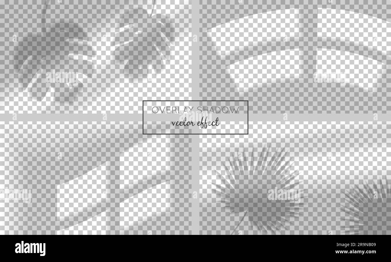 Vector set with shadow overlays on transparent background. Organic and ...