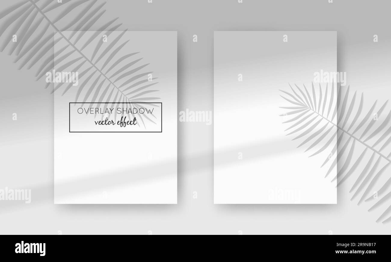 Vector two A4 cards mockup with shadow overlays on top. Organic and ...