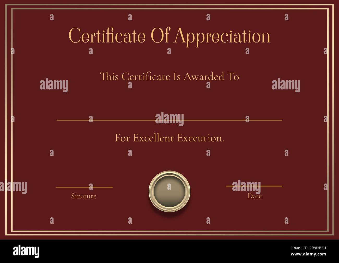 Certificate of appreciation for excellent execution text and borders in ...