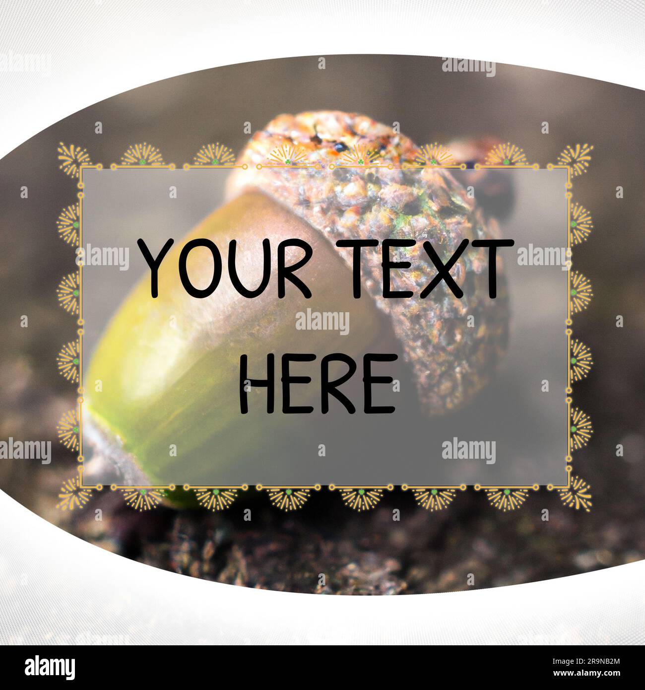 Text holding space in opaque rectangle with decorative frame over acorn ...