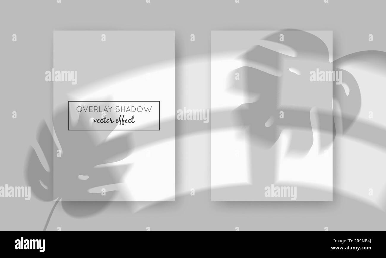 Vector two A4 cards mockup with shadow overlays on top. Organic and ...