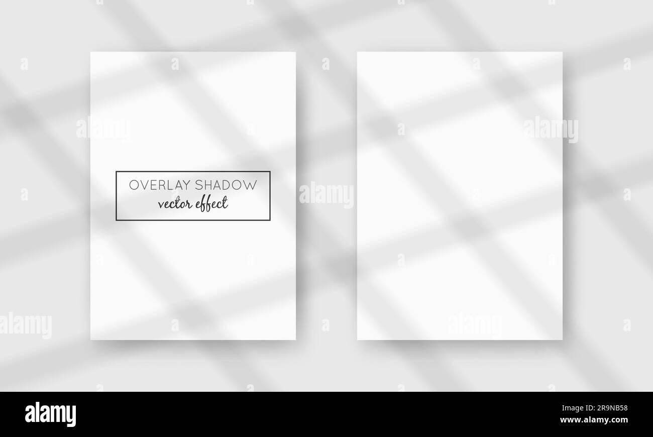 Vector two A4 cards mockup with shadow overlays on top. Window frame shadows for natural light ...