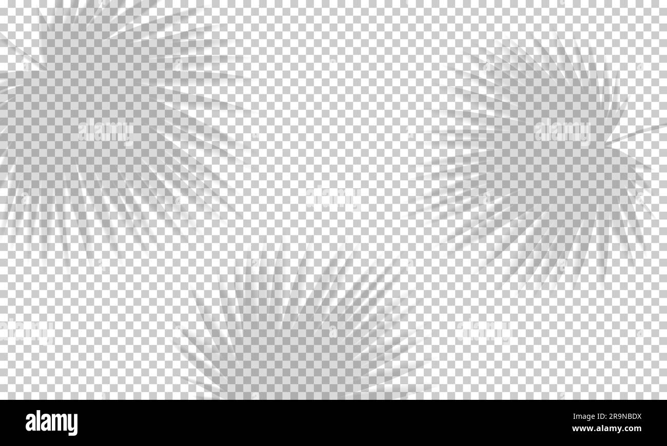 Vector illustration with shadow overlays on transparent background ...