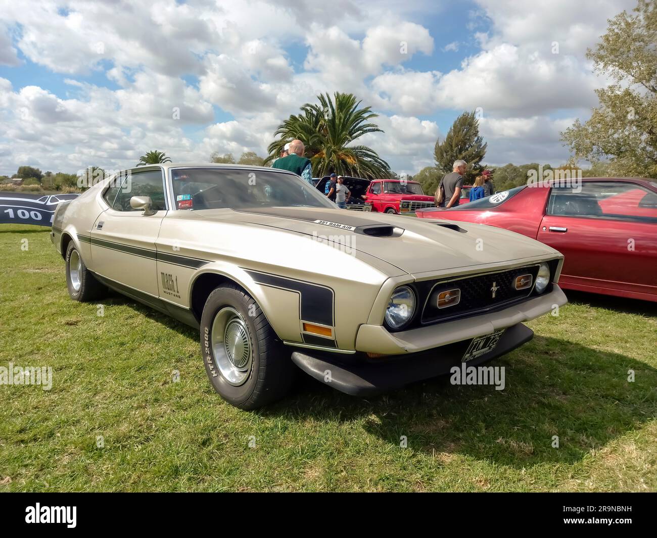 Gray sport muscle car 1970s Ford Mustang Mach 1 coupe 351 Ram Air coupe ...