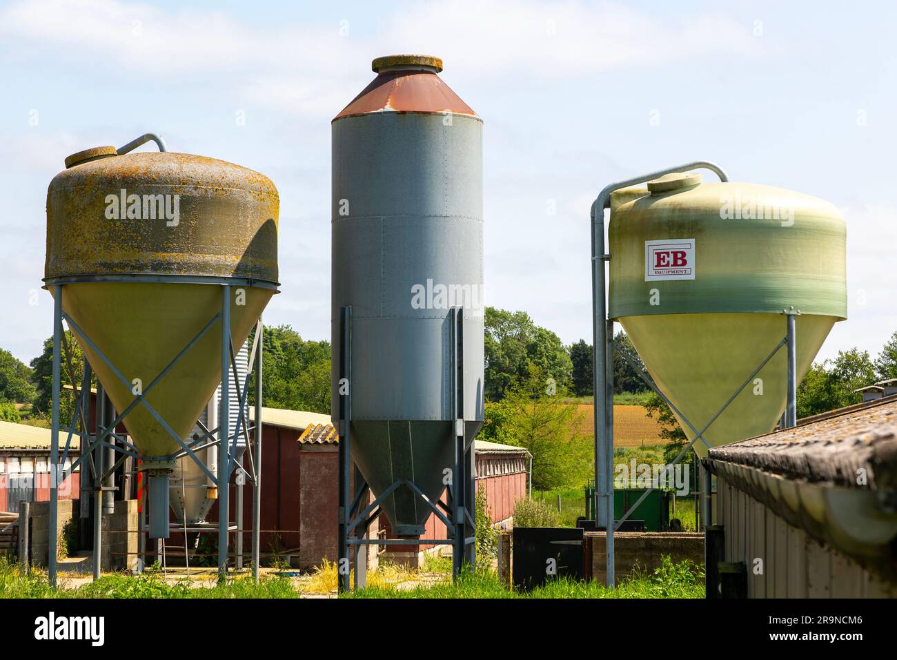 Feed silo containers at pig farm, Sutton, Suffolk, England, UK Stock ...