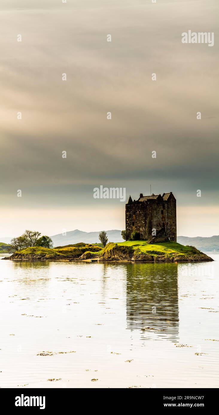 Catle stalker hi-res stock photography and images - Alamy