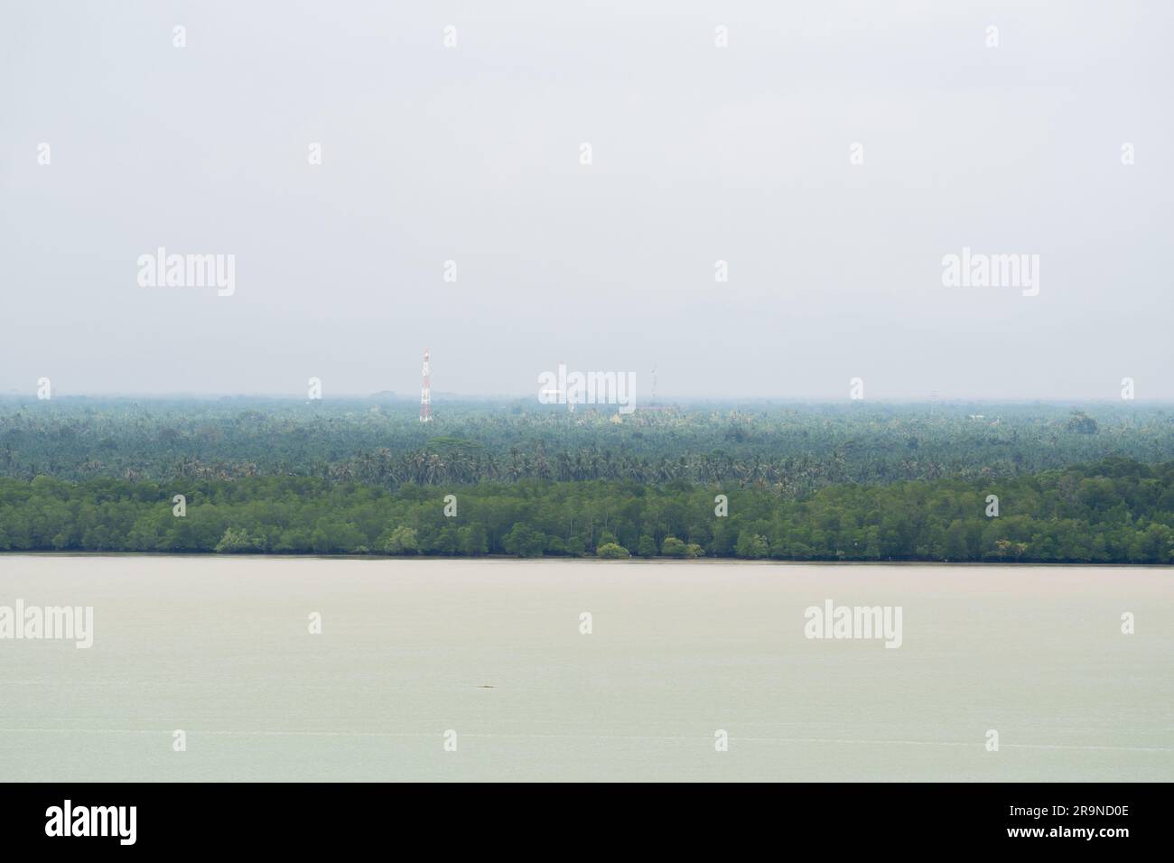 Coastal mangrove forest scenery. Aerial view from the seaside. Seascape ...
