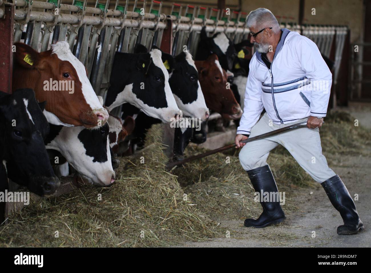 Taaneyel farm in western region of Lebanon, famous in producing all ...