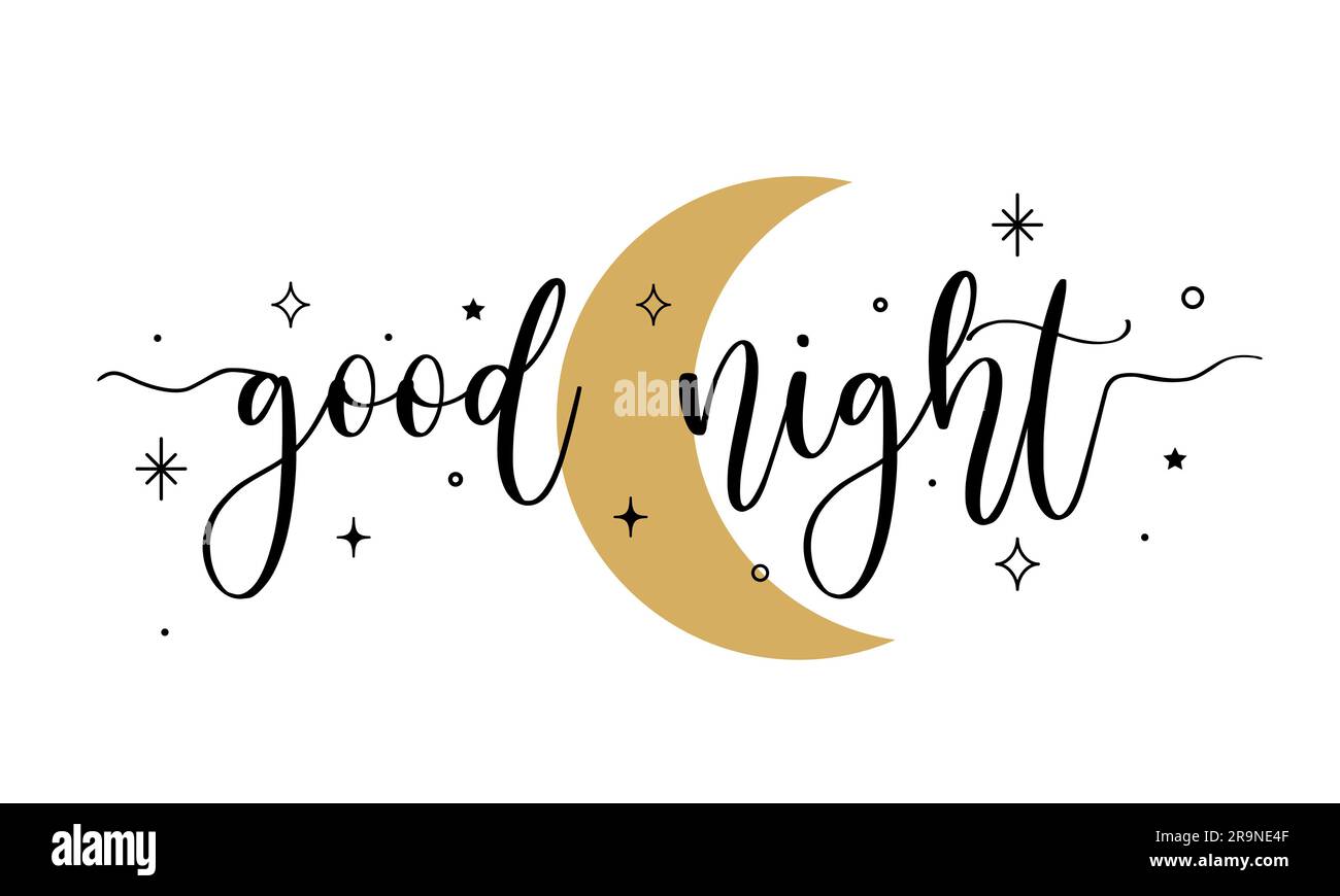 Vector illustration of Good Night handwritten modern brush lettering ...