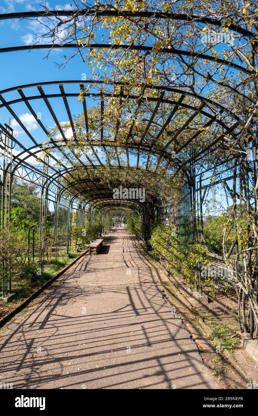 El Prado Park in Montevideo, in the Capital of Uruguay, wooded area ...
