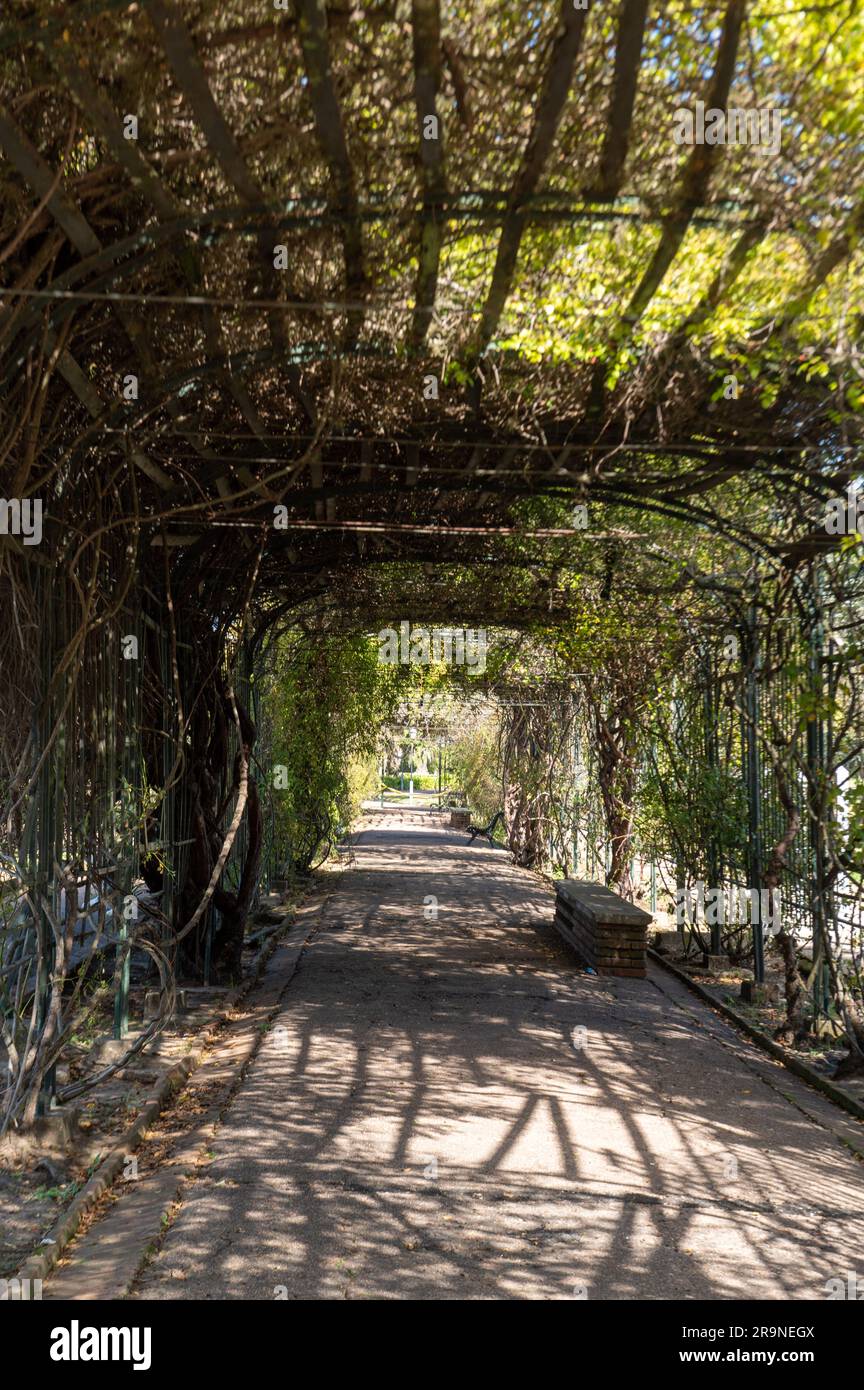 El Prado Park in Montevideo, in the Capital of Uruguay, wooded area ...