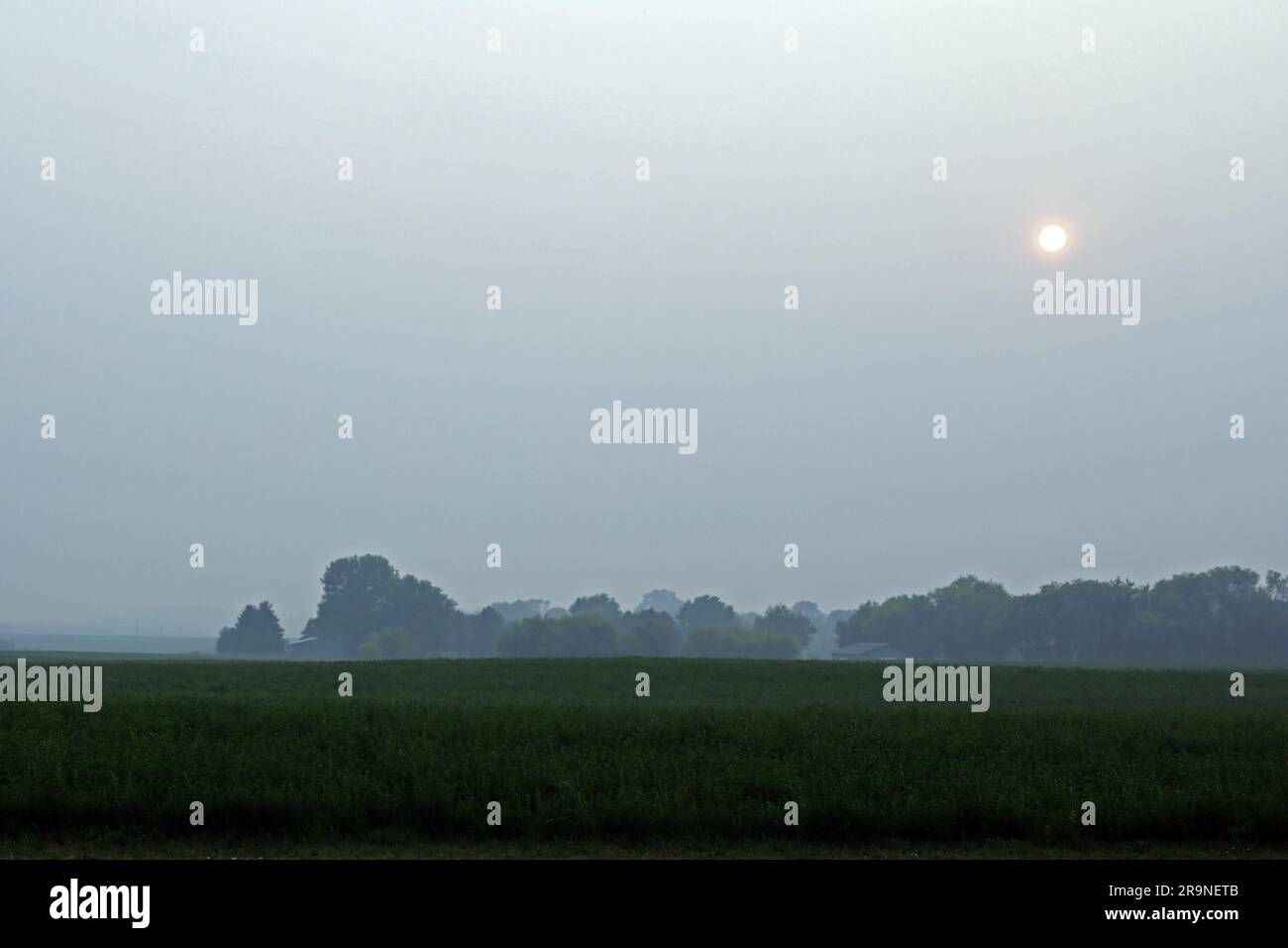 Wildfire smoke from fires burning in Canada, creates haze and clogs the ...