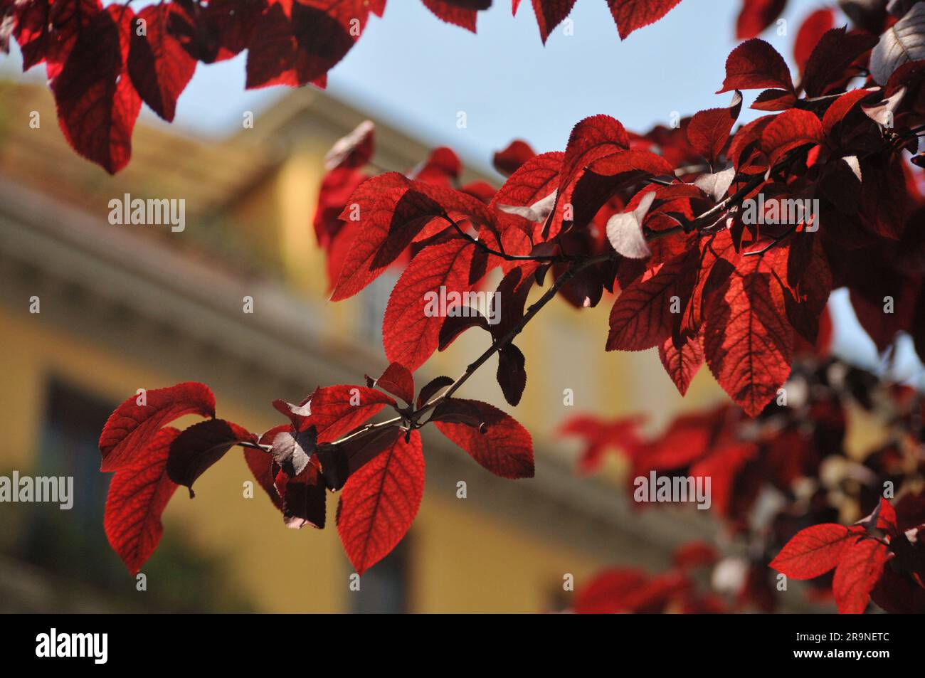 Arredourbano hi-res stock photography and images - Alamy