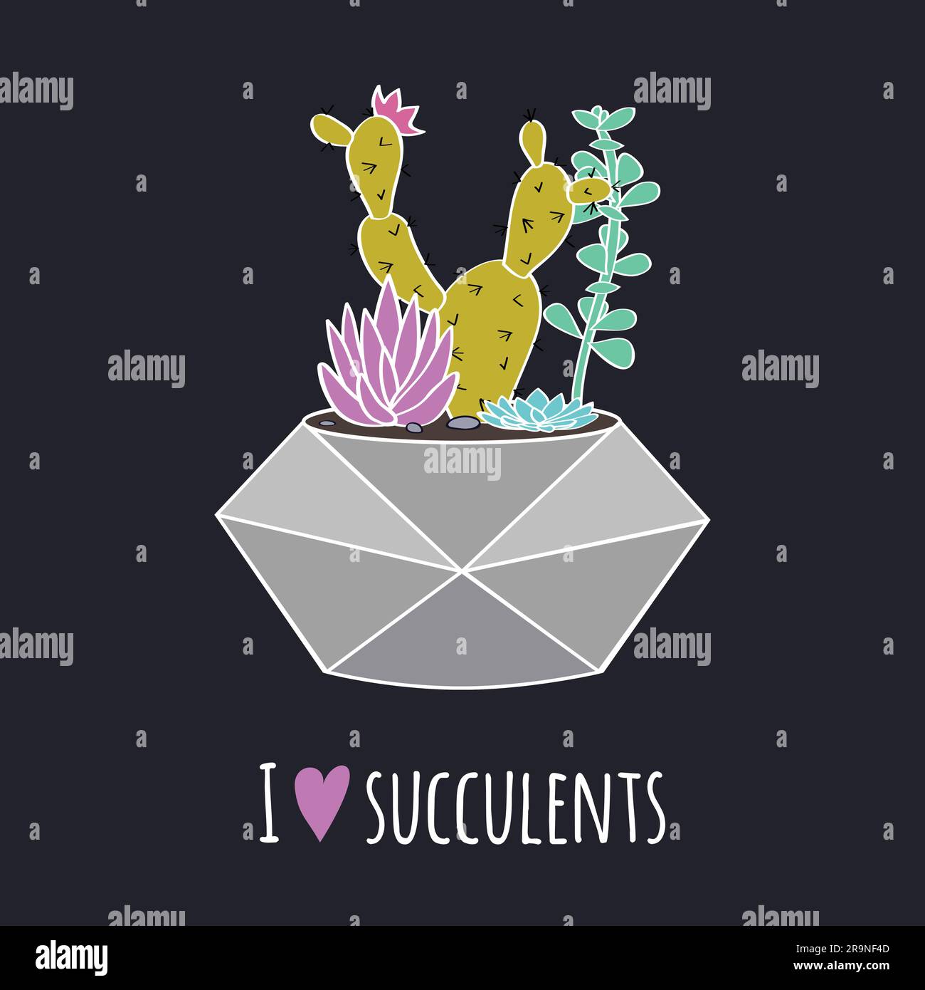 Vector colorful illustration with cactus, succulents in geometric pot ...