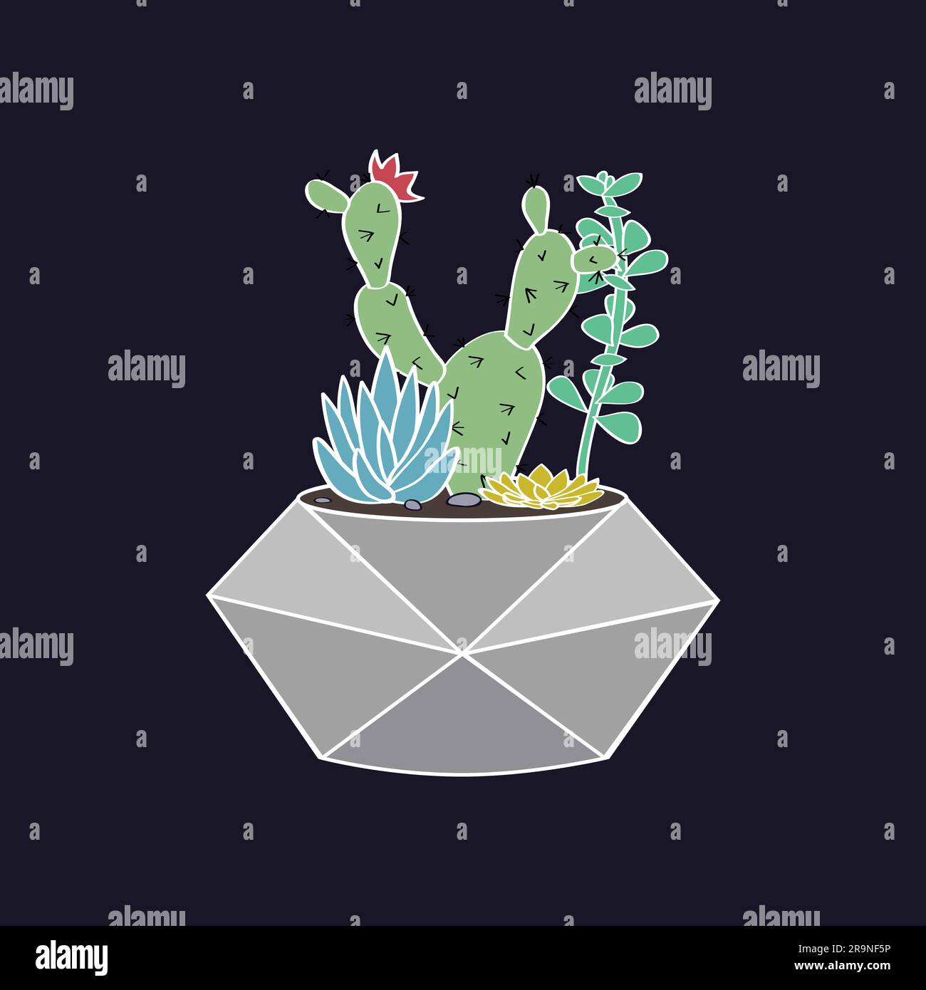 Vector colorful illustration with cactus and succulents in geometric ...