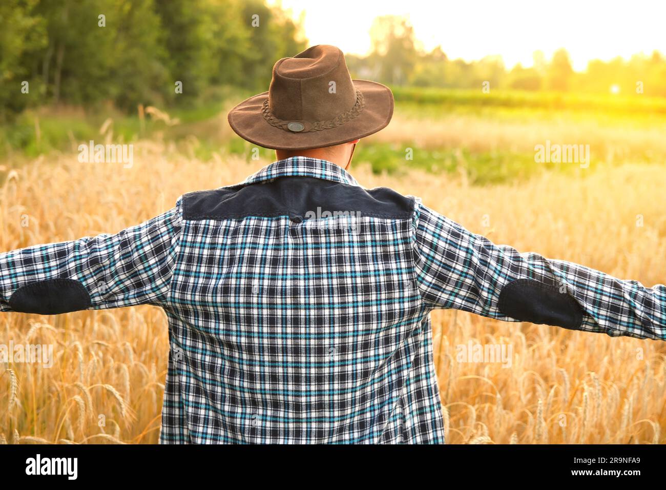 Back view of the cowboy. Back view of a young man wearing a cowboy hat ...