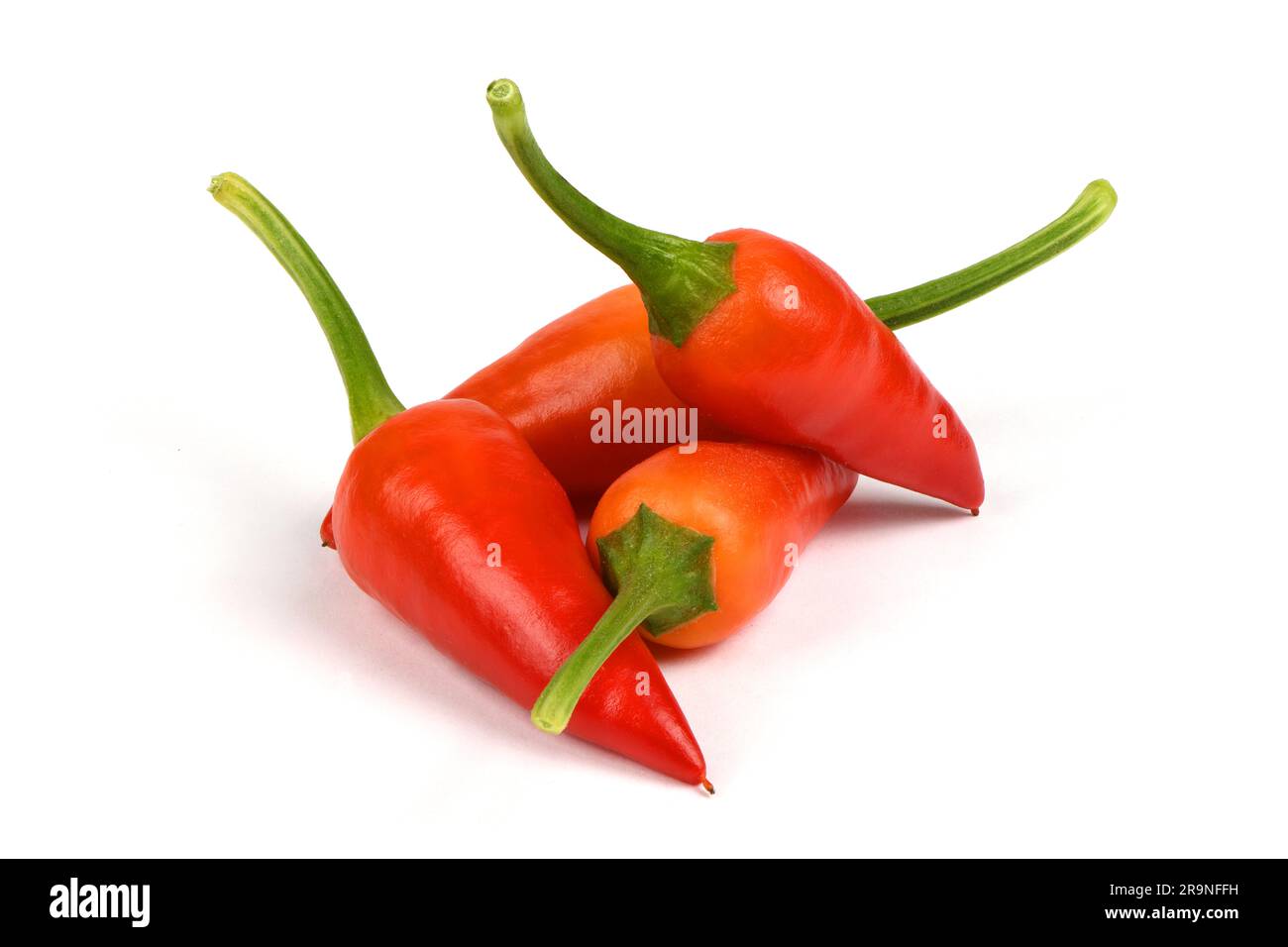 Red hot peppers. Side view. High resolution photo. Full depth of field ...