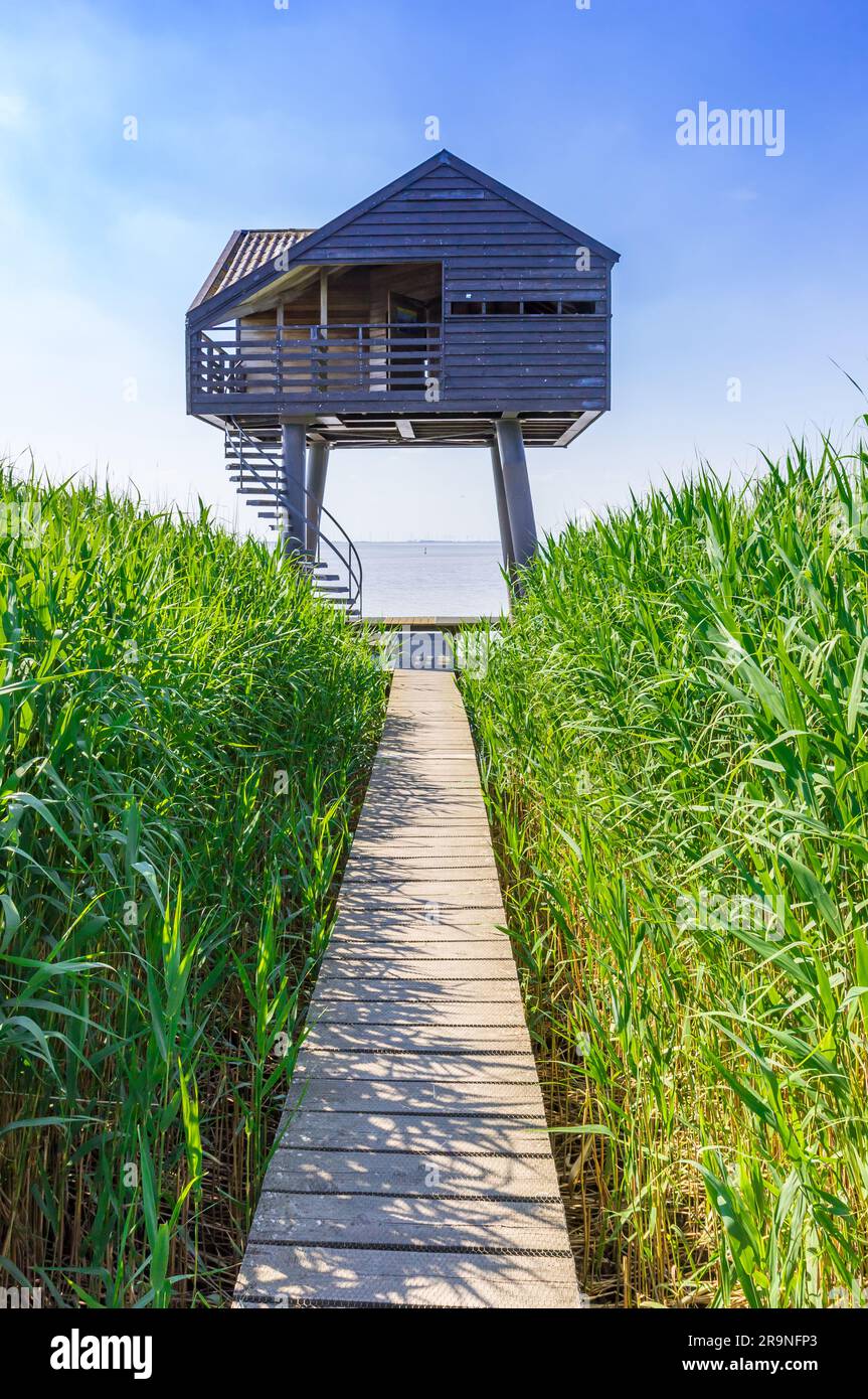 Wooden bird watching hut at the sea in Nieuwe Statenzijl, Netherlands ...