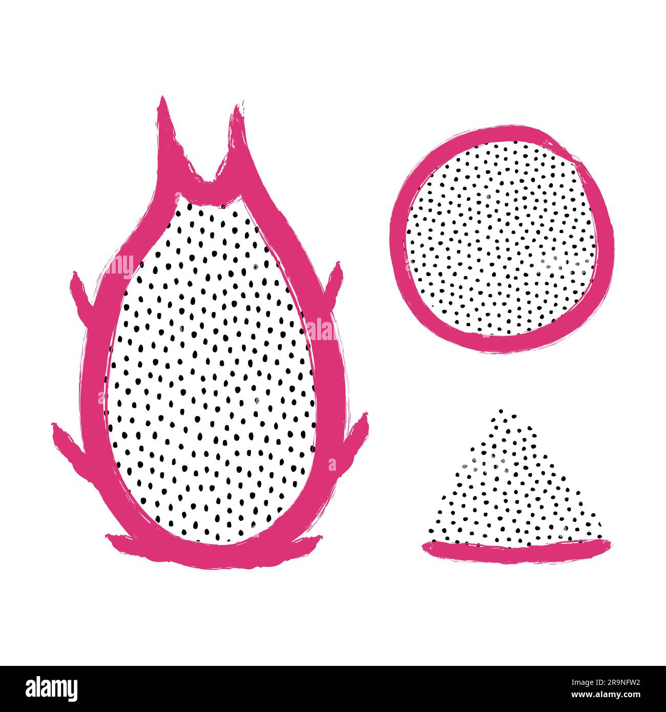 Vector illustration of sliced dragon fruit isolated on white background ...