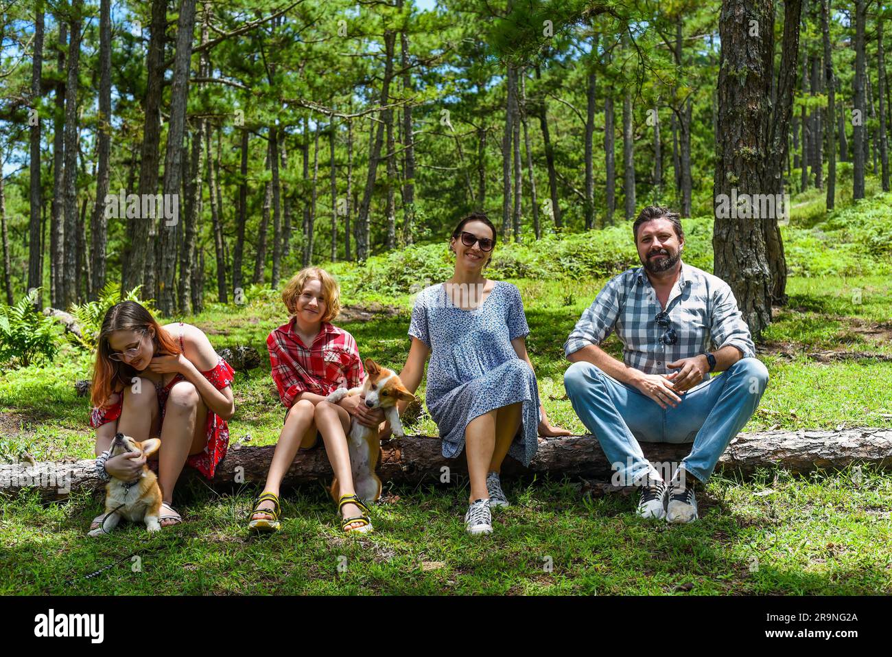 Family members father, mother and two daughters sit on fallen tree n ...