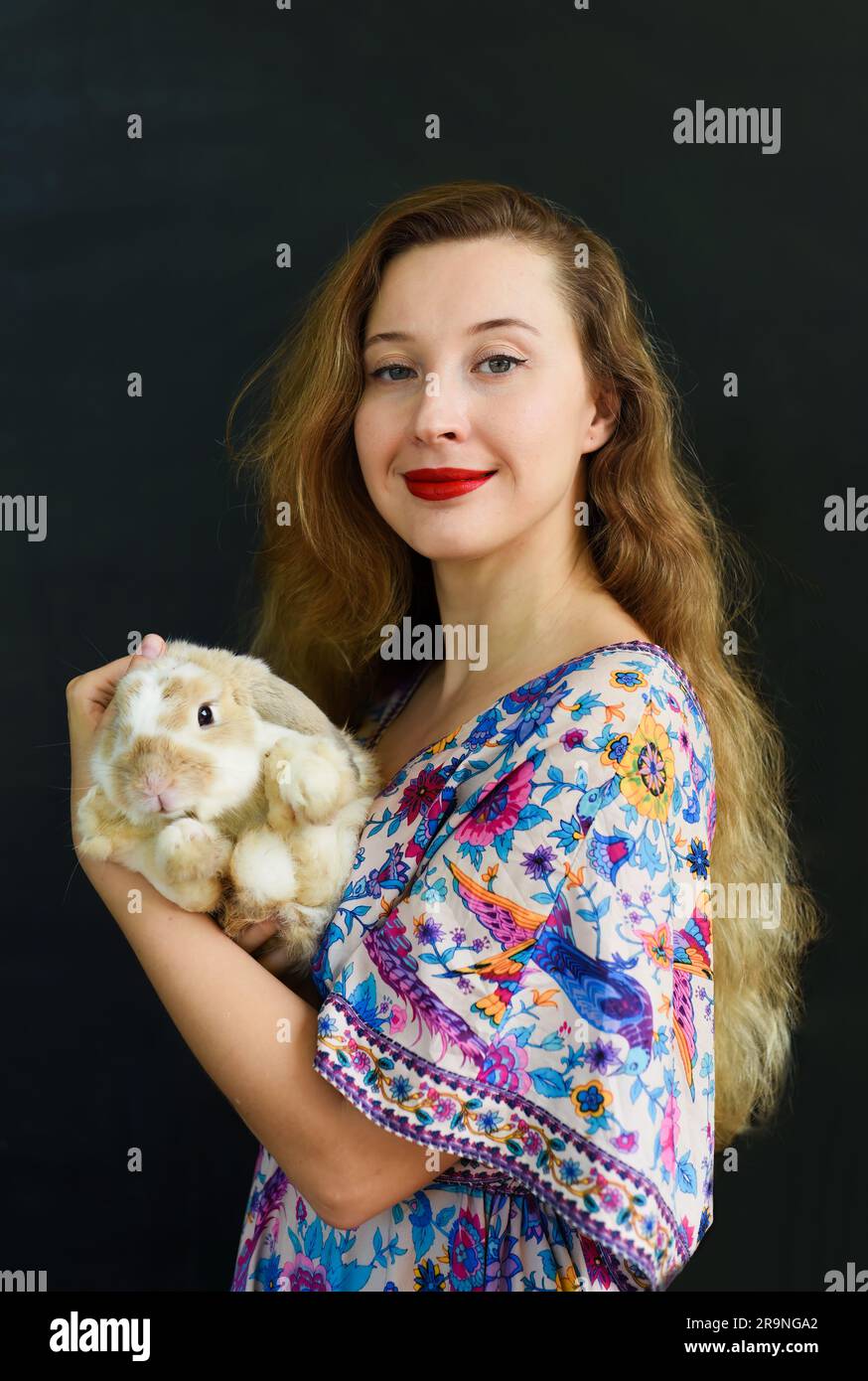 Russian rabbit hi-res stock photography and images - Alamy