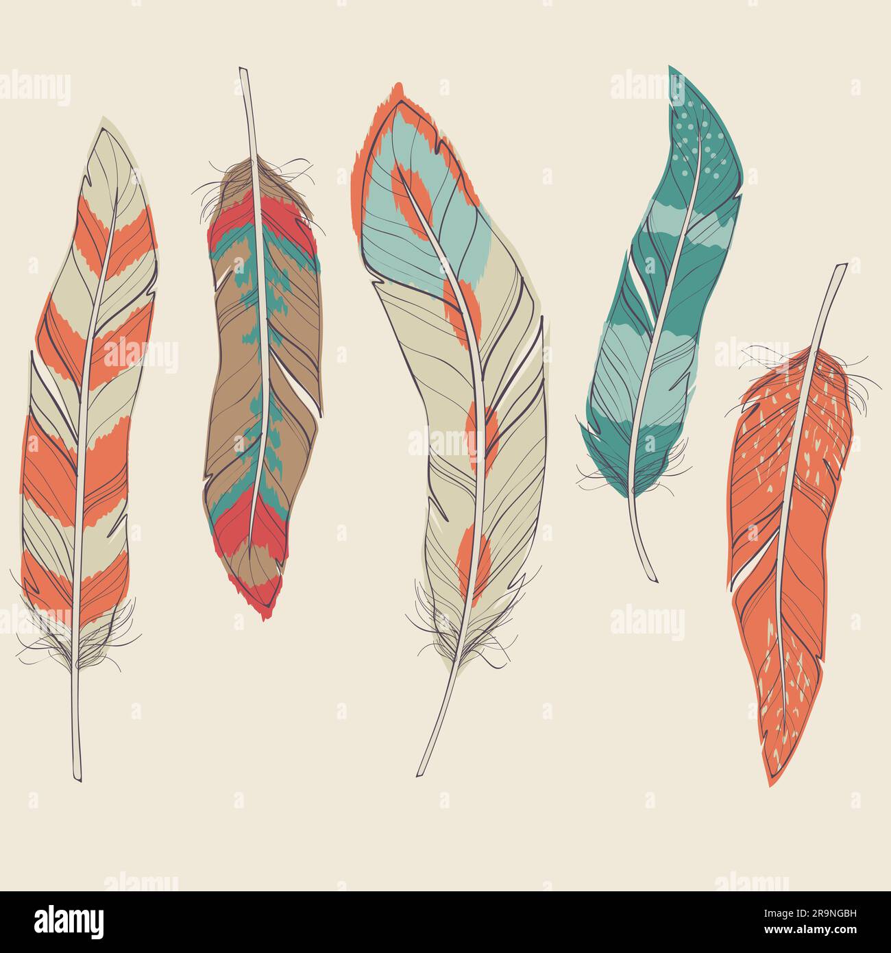 Vector colorful set of different feathers Stock Vector Image & Art - Alamy
