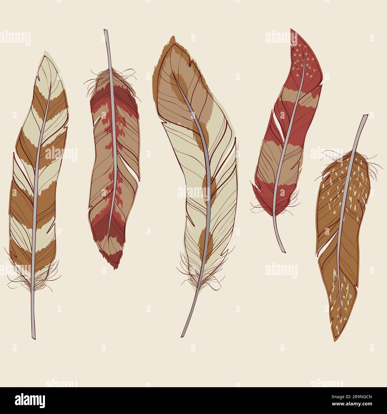 Vector colorful set of different feathers Stock Vector Image & Art - Alamy