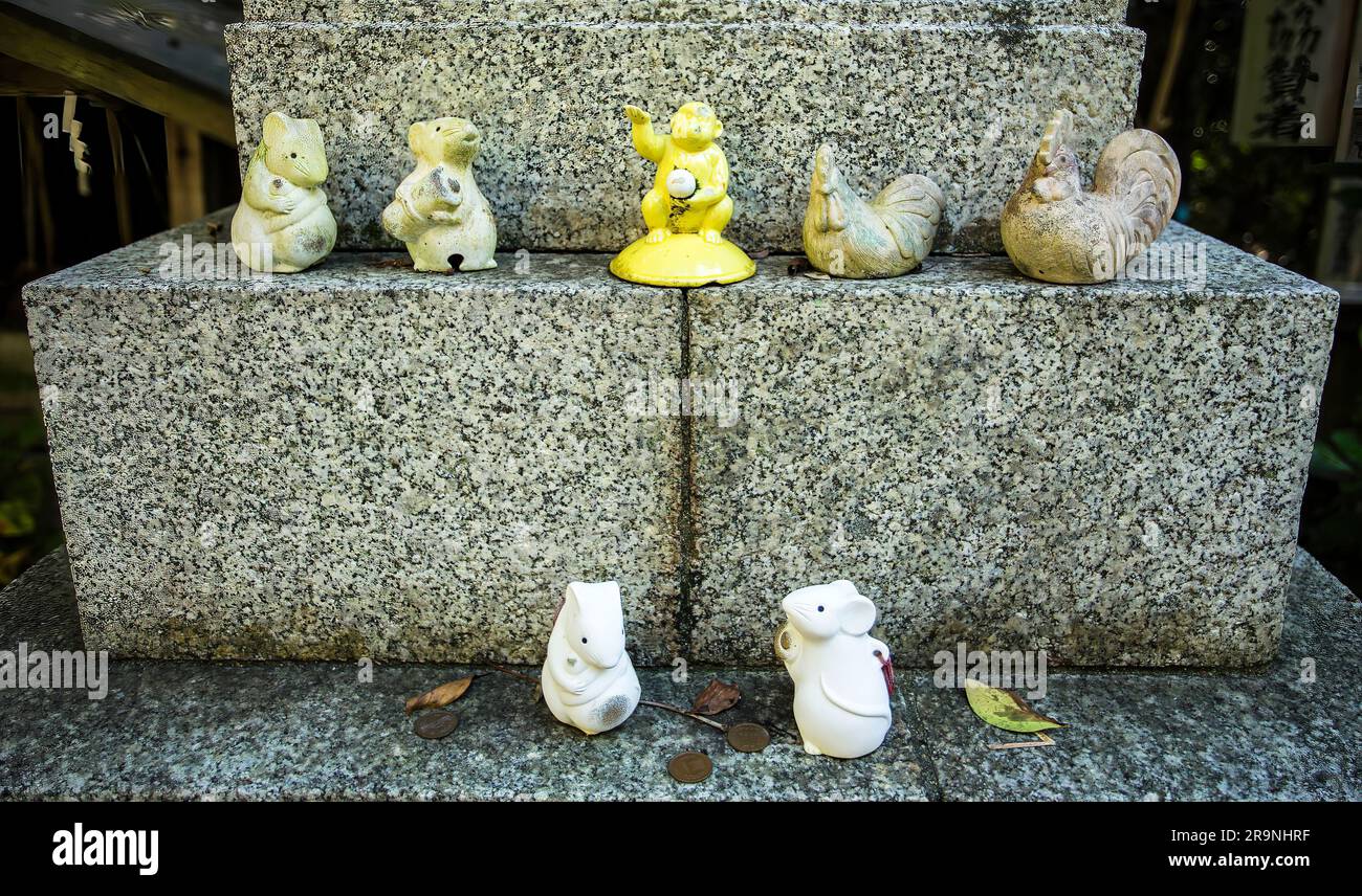 Offering chickens hi-res stock photography and images - Alamy