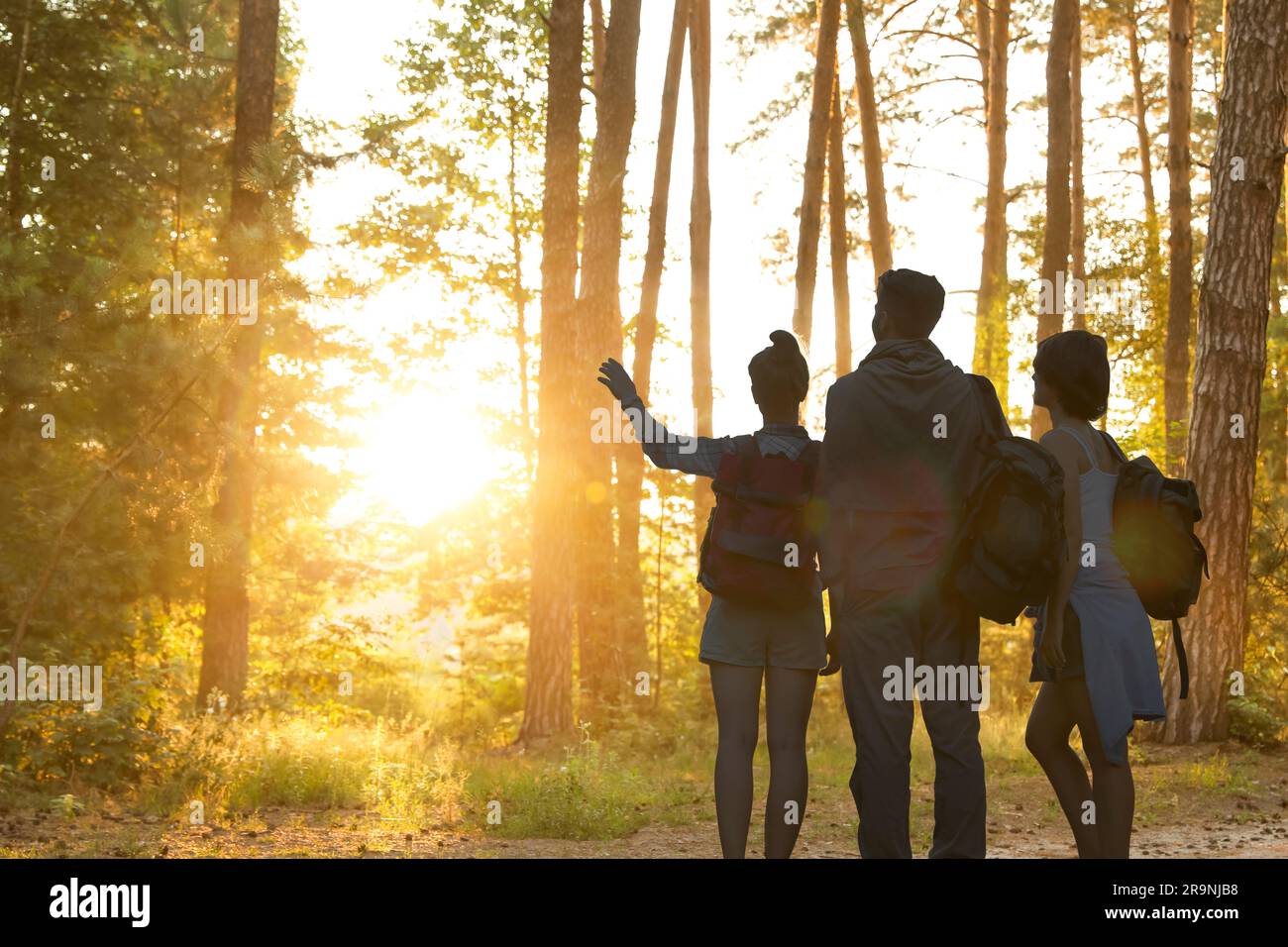 Man in shadow back view lifestyle hi-res stock photography and images ...