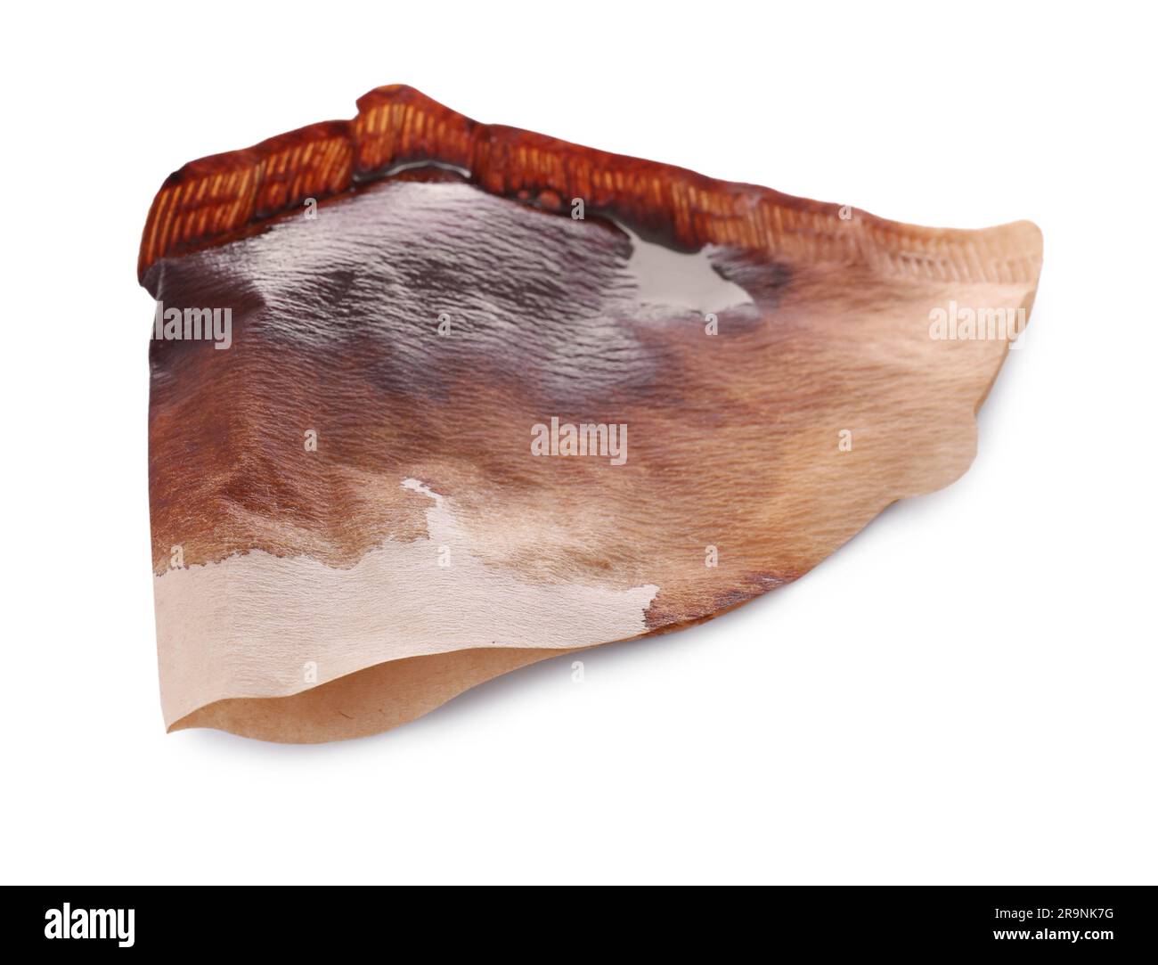 Used paper coffee filter isolated on white Stock Photo - Alamy