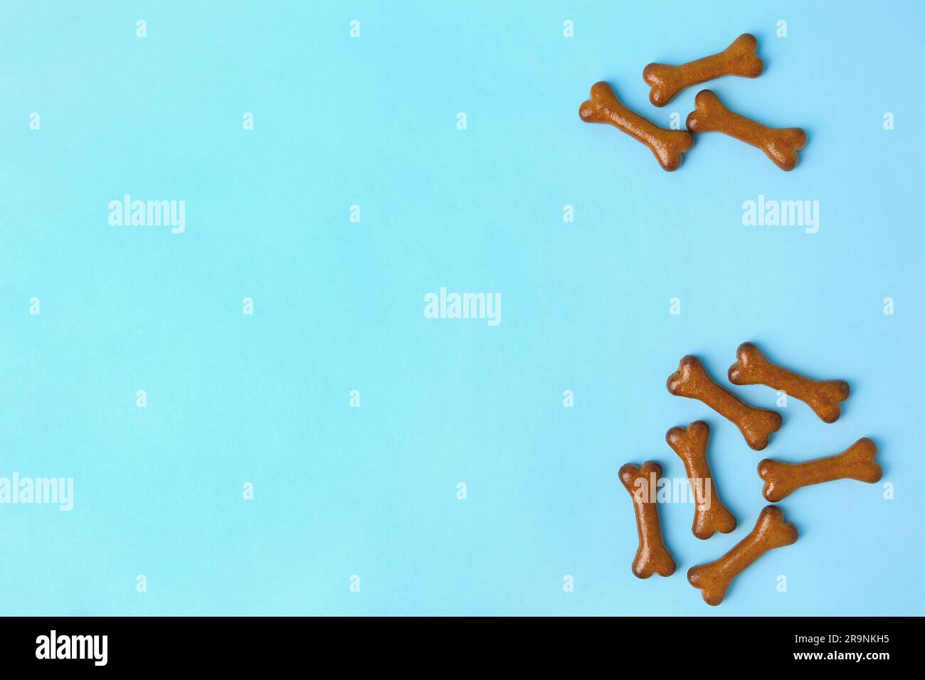 Blue bone shaped pet food hi-res stock photography and images - Alamy