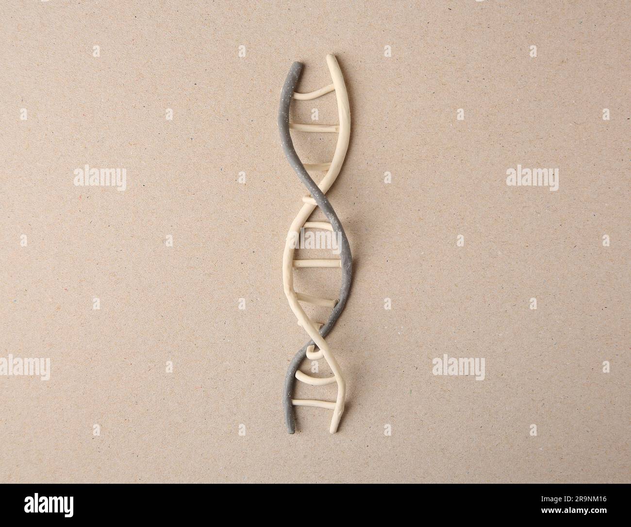 Plasticine model of DNA molecular chain on beige background, top view ...