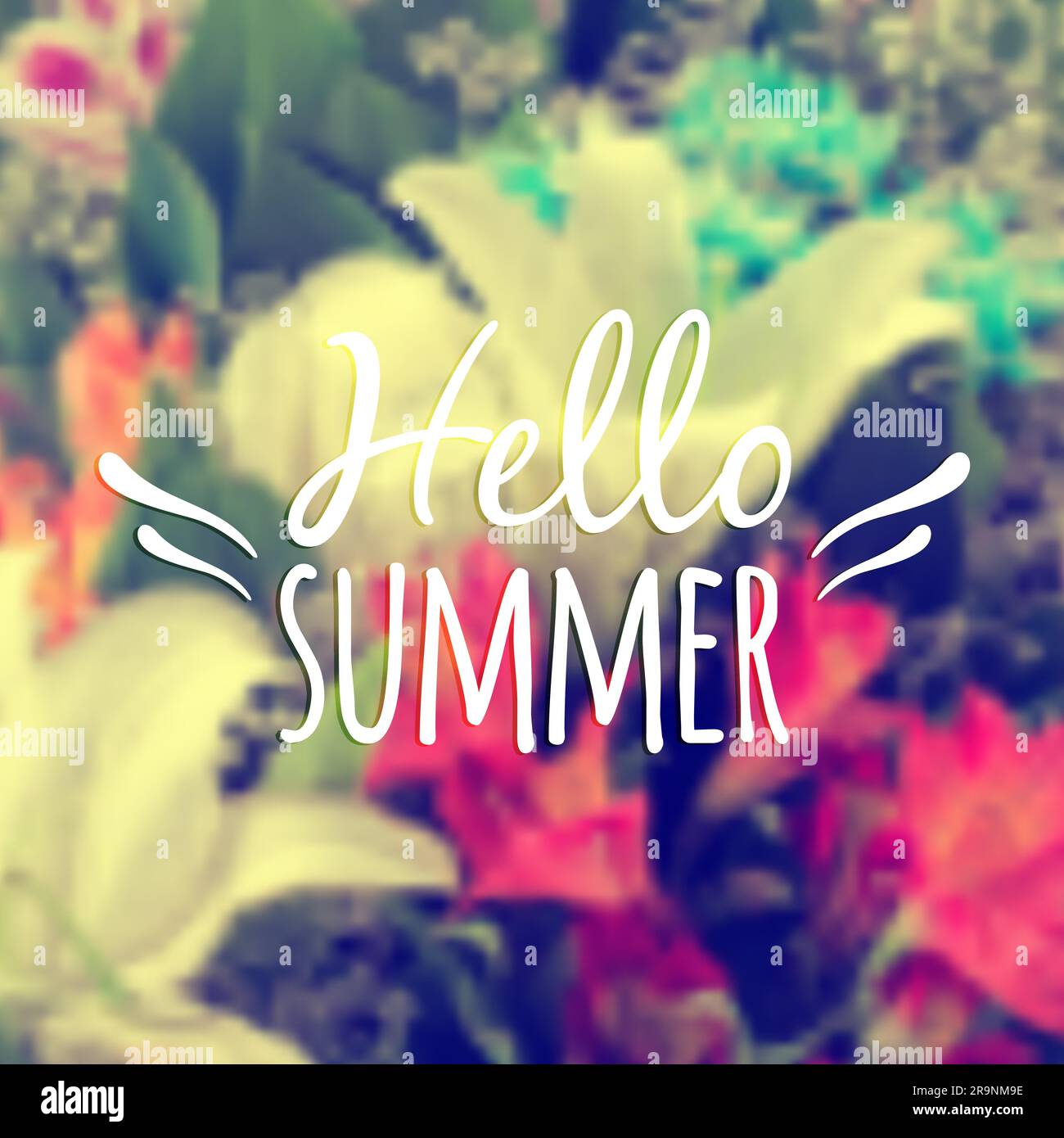 The blurred flowers Stock Vector Images - Alamy