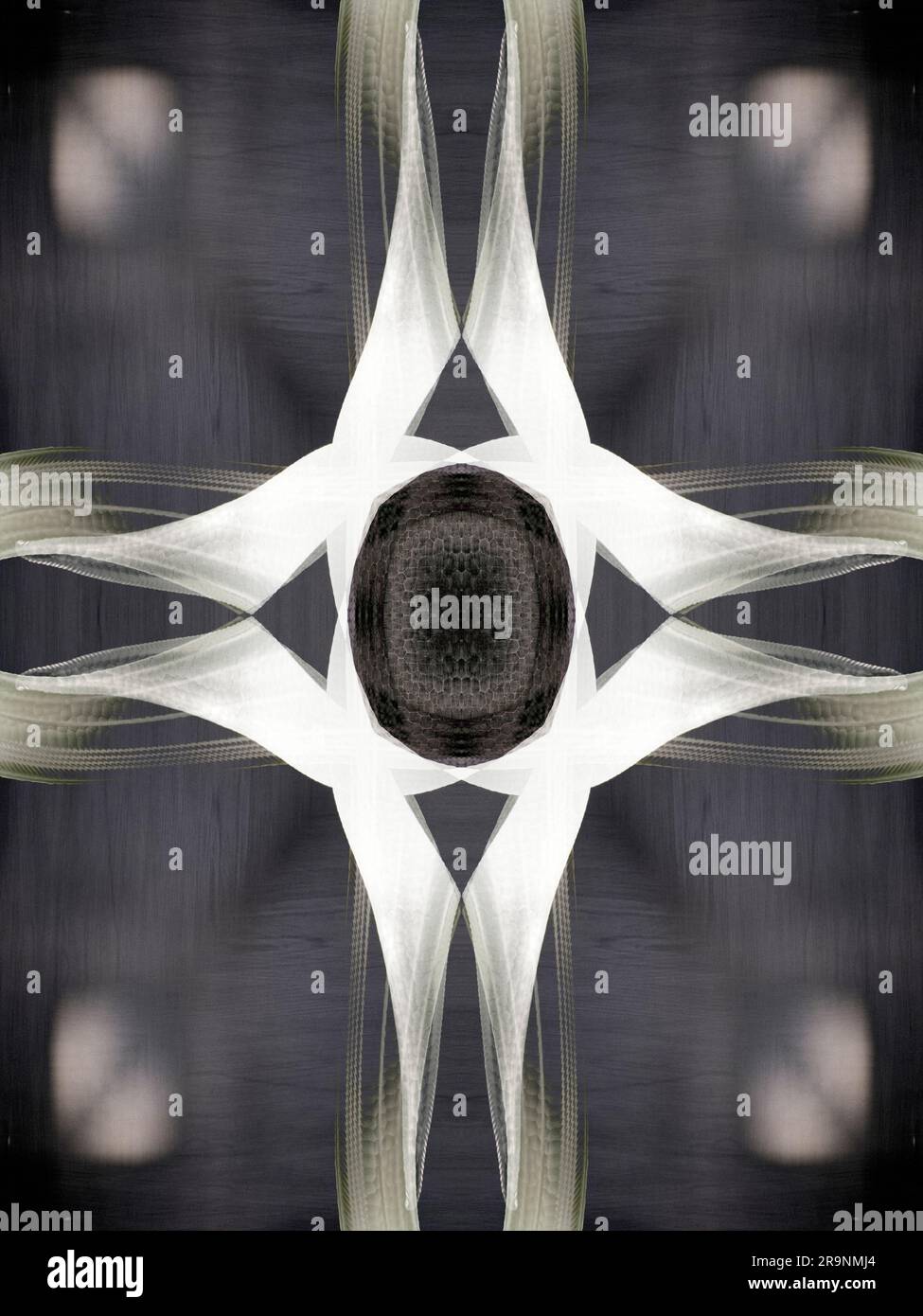 Today's large cruise liners are like floating cities, with all the ...