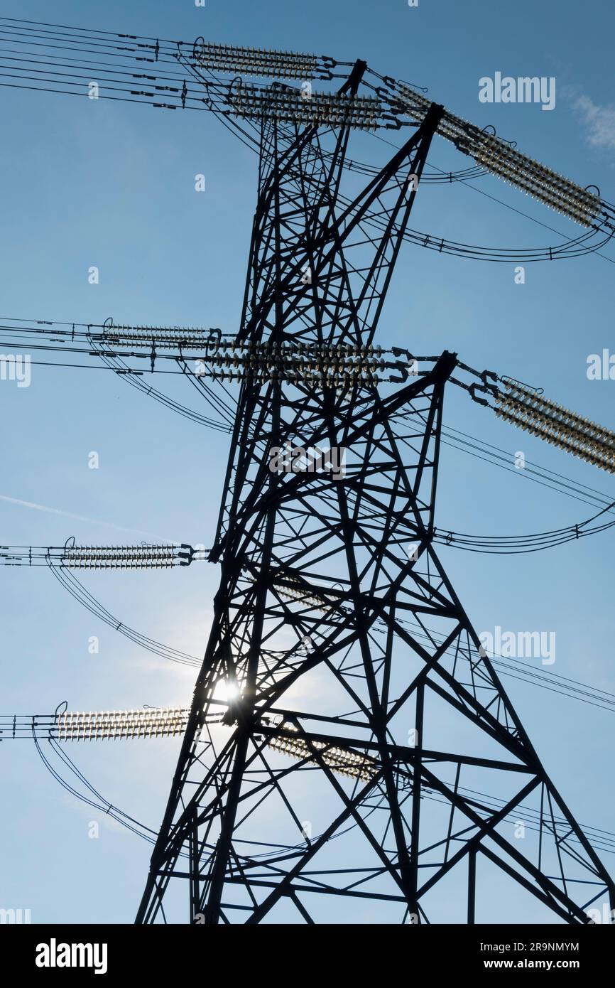 I love electricity pylons; I find their abstract, gaunt shapes ...