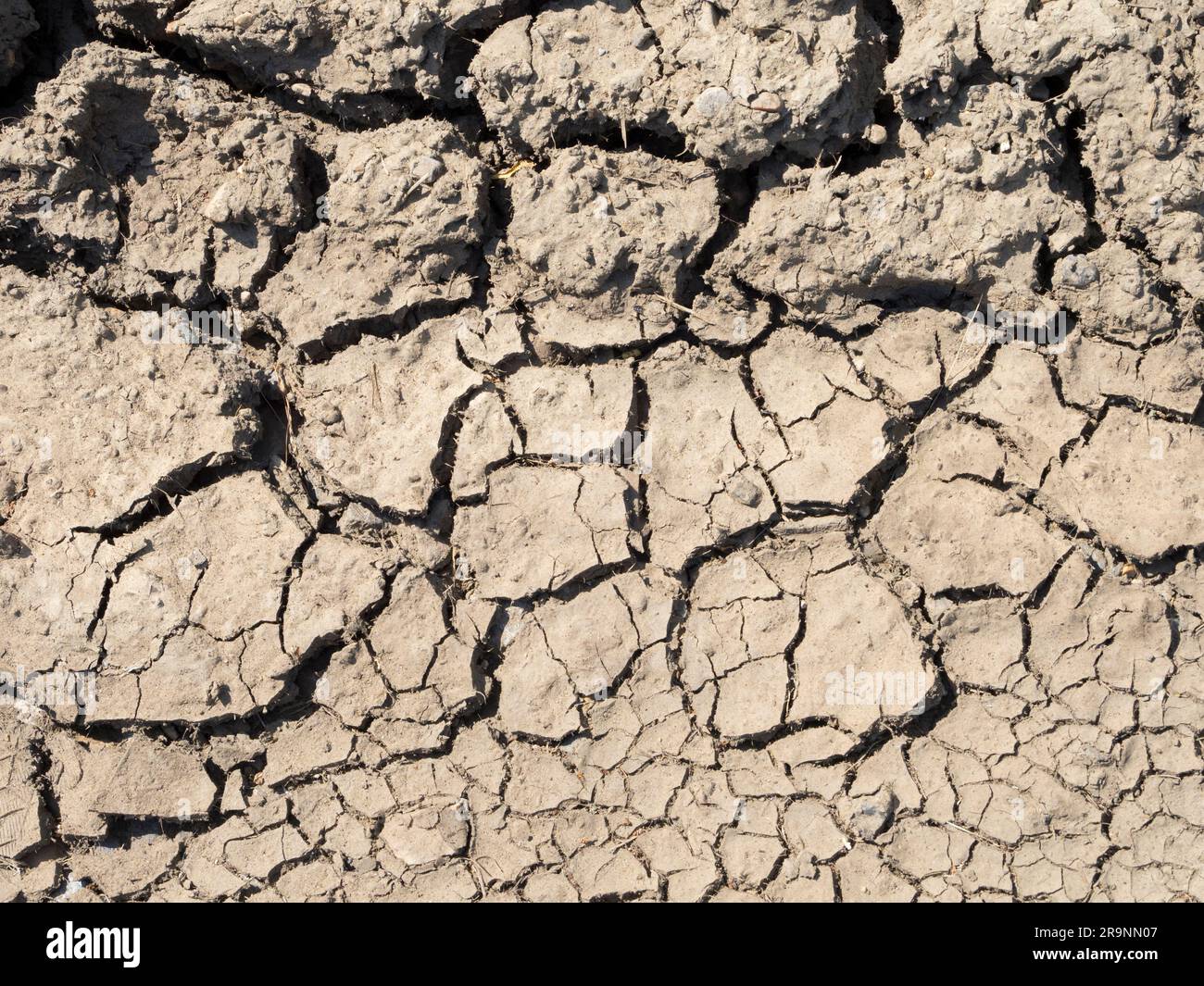 Not a harbinger of the future, one hopes... but, with increasingly ...