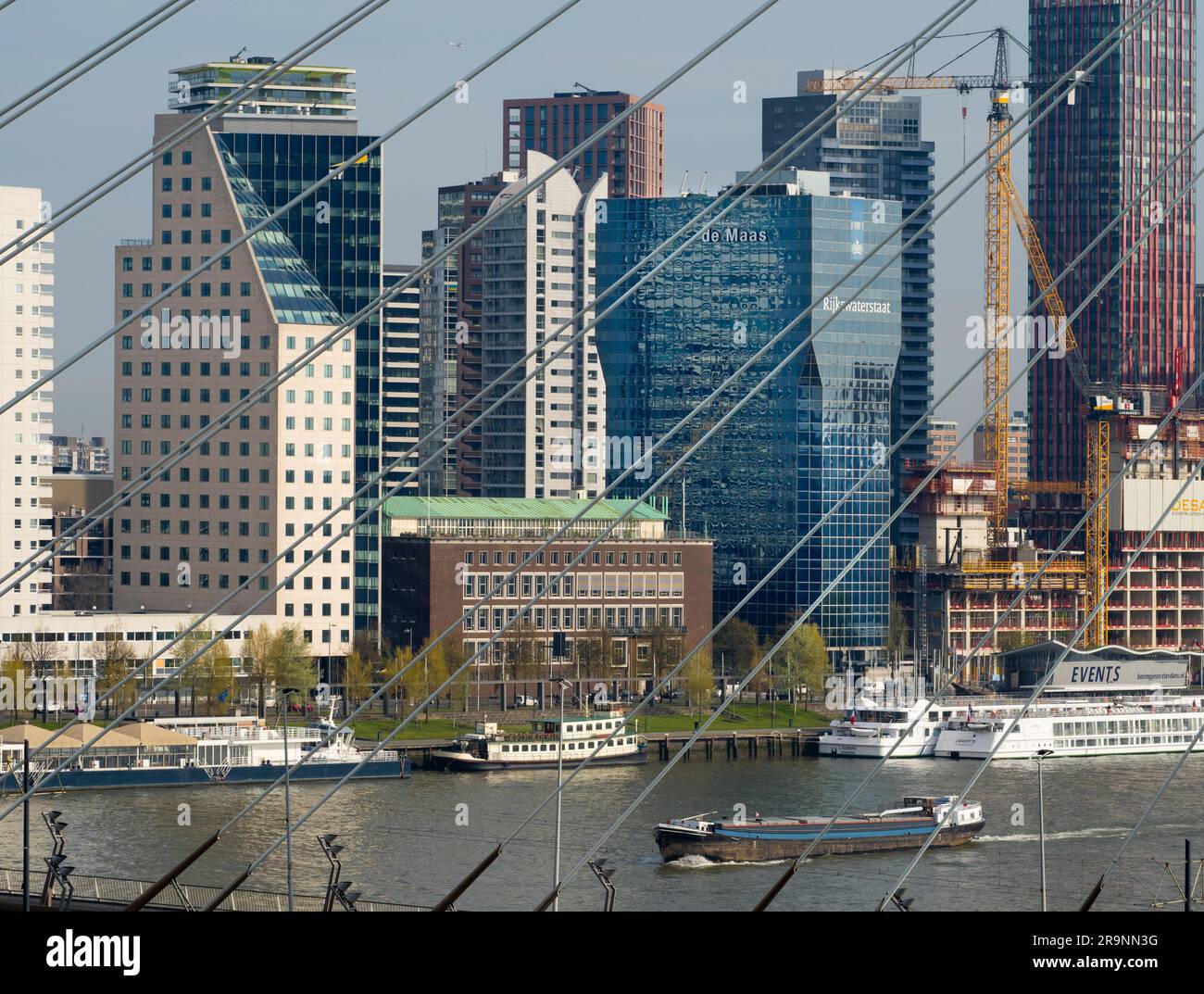 Named after the great renaissance Dutch philosopher and humanist ...