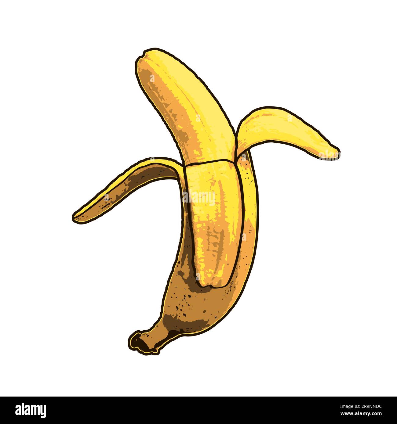 Vector illustration of banana isolated on white background Stock Vector ...