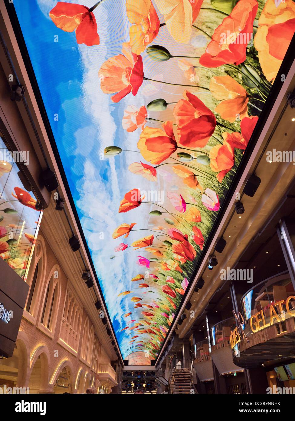 Today's large cruise liners are like floating cities, with all the ...