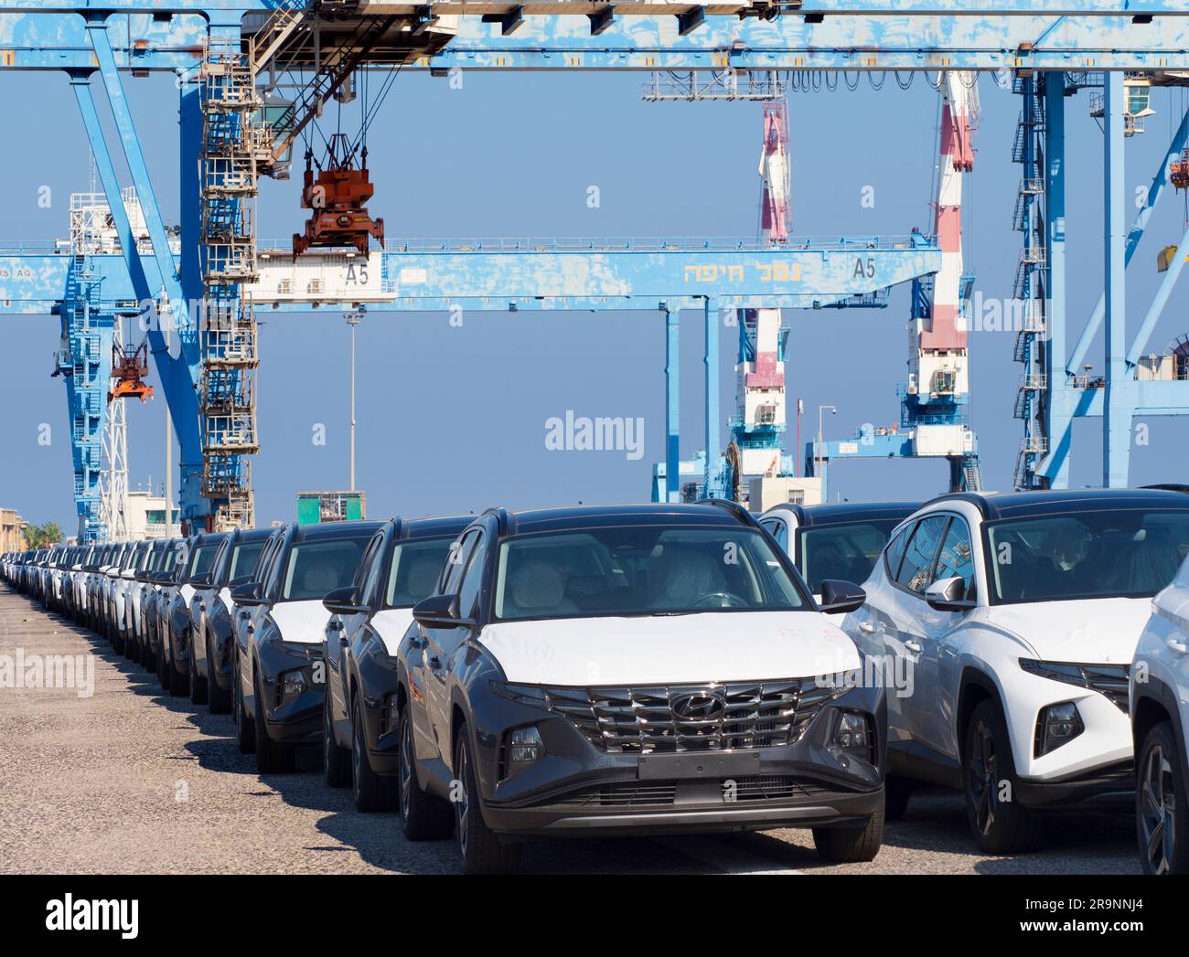 Lines of just-arrived imported cars on the dockside at Haifa, Israel ...