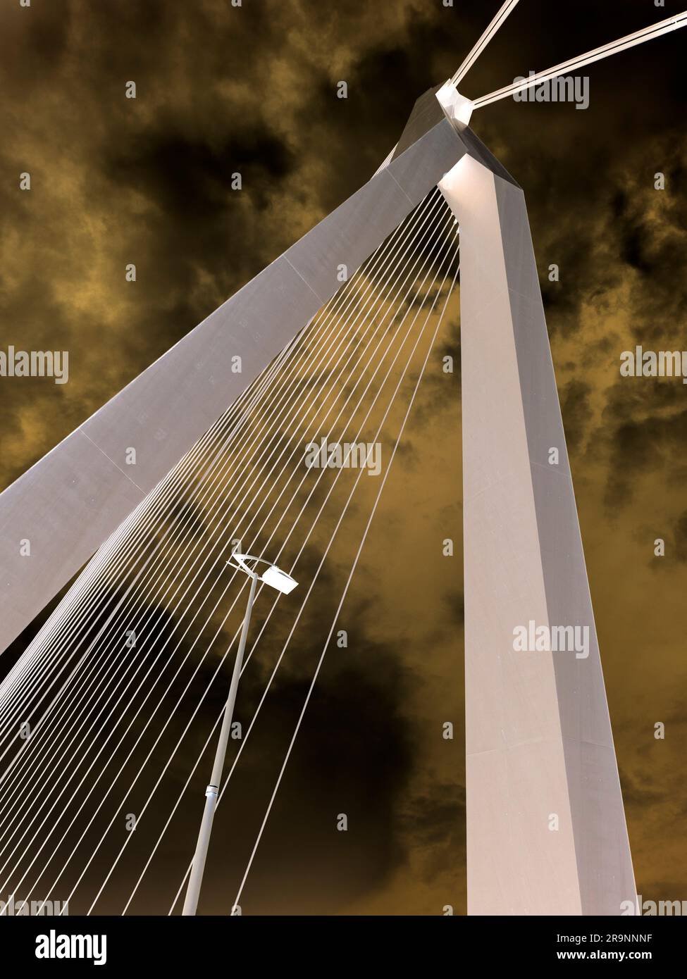 Named after the great renaissance Dutch philosopher and humanist ...