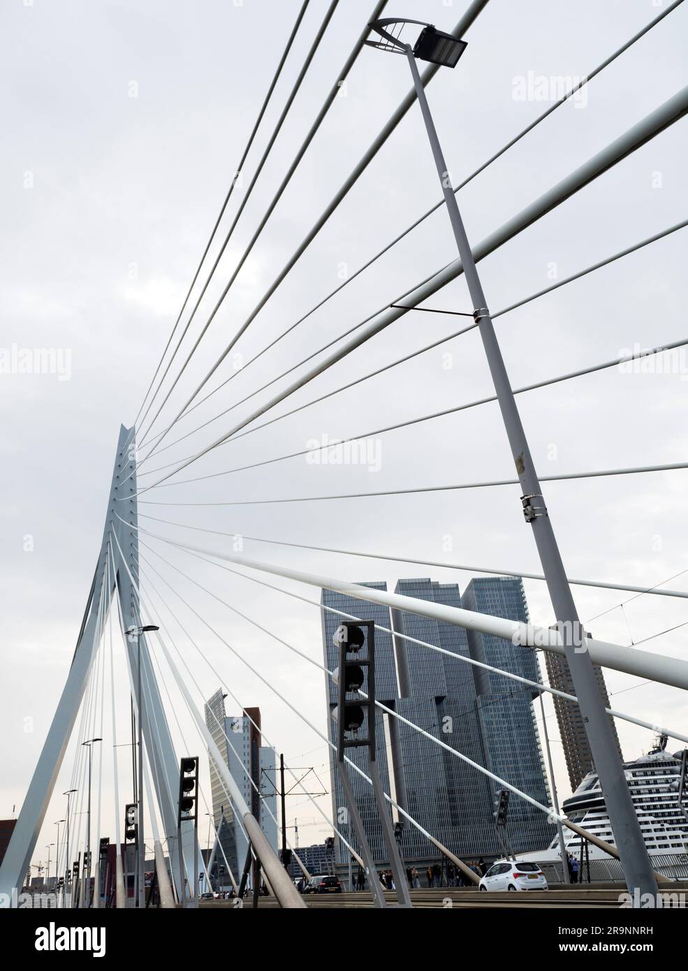 Named after the great renaissance Dutch philosopher and humanist ...